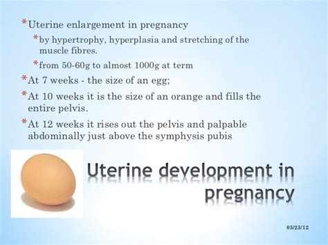 Lower Uterine Segment
