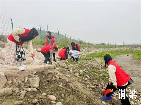 青年有力量！铜梁区交通局开展人居环境整治志愿服务活动——铜梁网