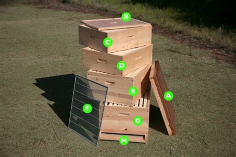 Anatomy Of A Langstroth Hive
