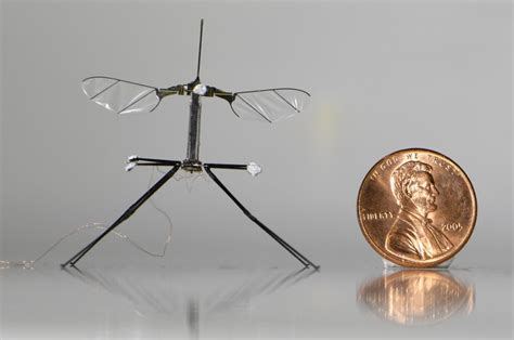 Robobee Sticks The Landing Ars Technica