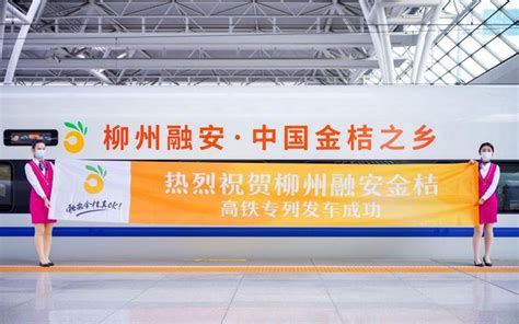 广西融安金桔高铁品牌专列在上海虹桥站首发 媒体报道 广西名优农产品品牌网