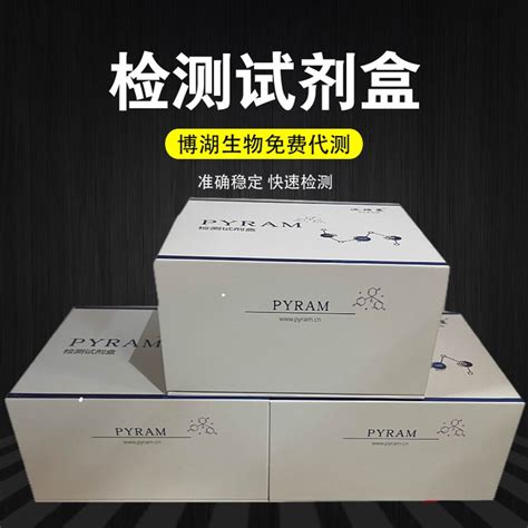 Sirt1sir2l1去乙酰化酶sirtuin 1elisa检测试剂盒灵敏度高