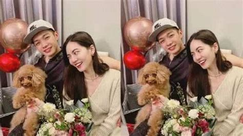 秀恩爱曾之乔靠樱花树拍美照 被辰亦儒环抱乱入 半岛网