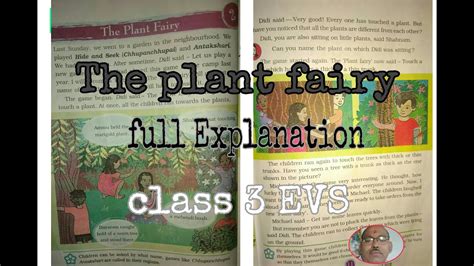 The Plant Fairy Youtube