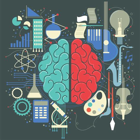 Left Right Human Brain Concept Vector Art At Vecteezy