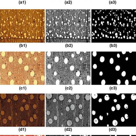 a binary image with hole filling b extracted vessel elements c image