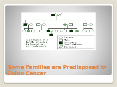 Ppt Mlh1 Mutations And The Formation Of Hereditary Non Polyposis
