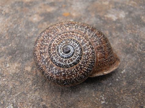 Pin By Mark Conrad On Beauty Objects Objects Neutral Beauty