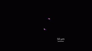 MIT Engineers Develop A Low Cost Terahertz Camera MIT Department Of Chemistry