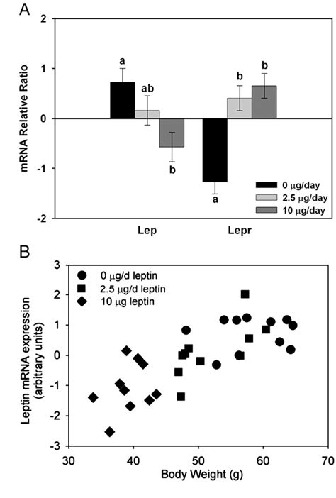 Fat Cell Differentiation Semantic Scholar
