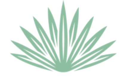 The Tequila Report Your Tequila Magazine And Newsletter The Tequila