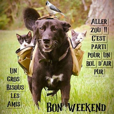  Anime Bon Week End Humour