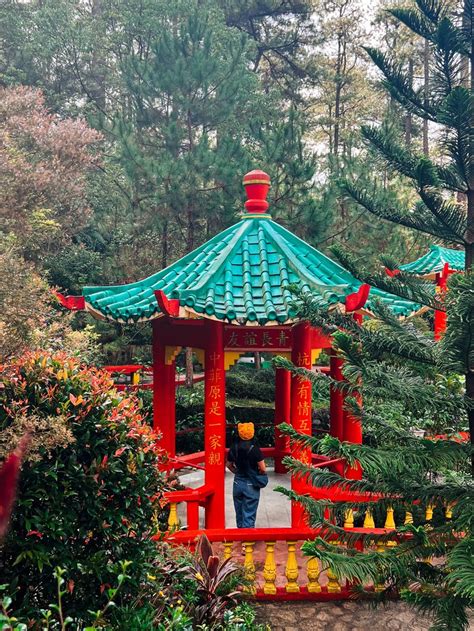 Baguio Botanical Garden 2026 Updated Baguio City Travel Guide