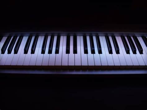 MIDI Keyboards How Many Keys Or Musicians HQ