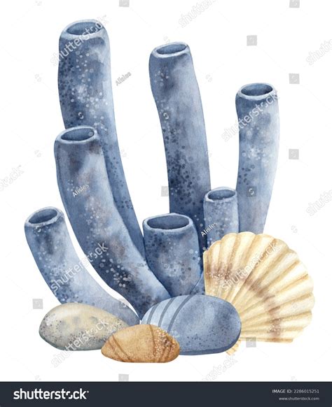 Underwater Coral Reefs Seashell On Isolated Stock Illustration