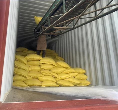 High Corn Gluten Mealprotein Corn Meal 60 Corn Gluten Feedmaize