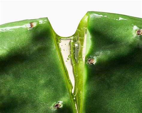 Antichute Complément Alimentaire Klorane