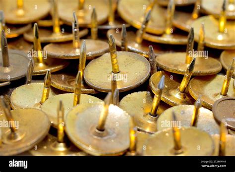 Close Up Of A Random Cluster Of Brass Drawing Pins Push Pins Or Thumb