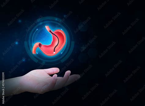 Endoscopic Biopsy Esophagogastroduodenoscopy EGD Human Stomach Isolated On Technological