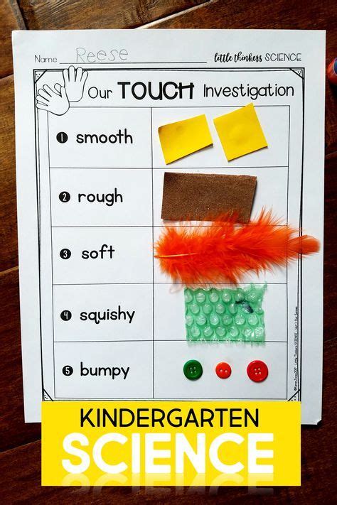 Sensory Details Anchor Chart Anchor Charts Writing Anchor Charts