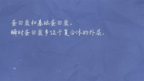 着丝粒的结构与功能 哔哩哔哩