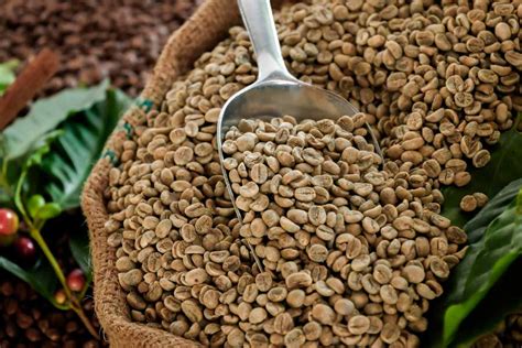 Proses Pengolahan Kopi 101 Dari Cherry Kopi Menjadi Biji Kopi Bitka