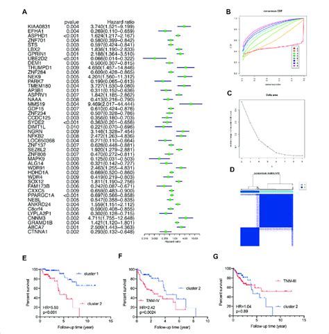 Reclassify Tnm Stage Iii Crc Patients Into Two Novel Clusters With Download Scientific Diagram