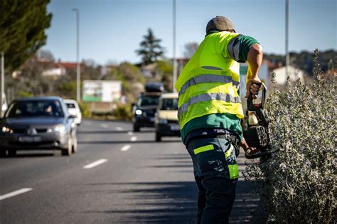 Herculanea Hortikultura