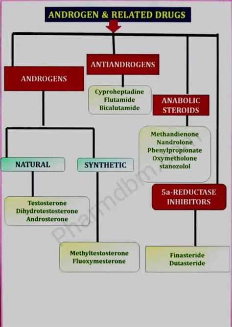 Pharmacology 2 Unit 5 Notes Semester 5 Bpharm
