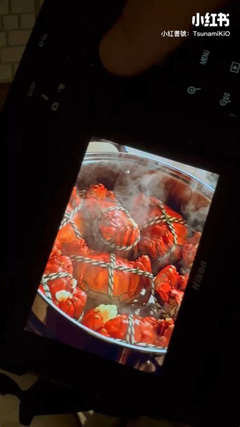 实拍对比！！尼康z9对决d6的高感和d850低感宽容度！追加z9大bug吐槽！ 知乎