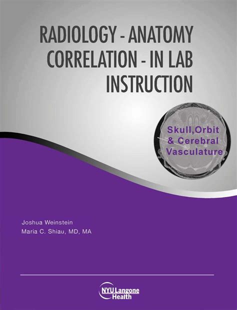 Radiology Anatomy Correlation In Lab Instruction