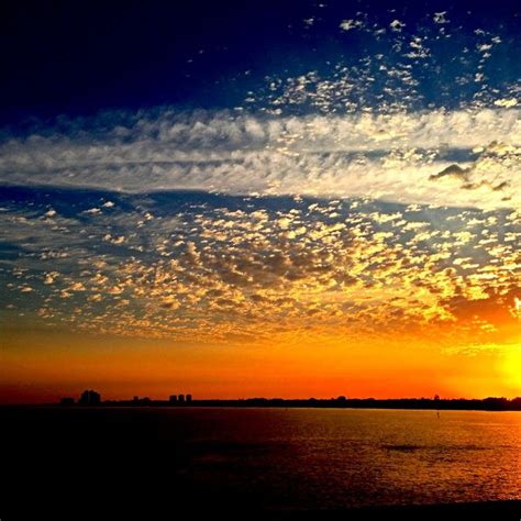 Images About Cape Coral Lee County Florida On Pinterest Restaurant Florida Maps And