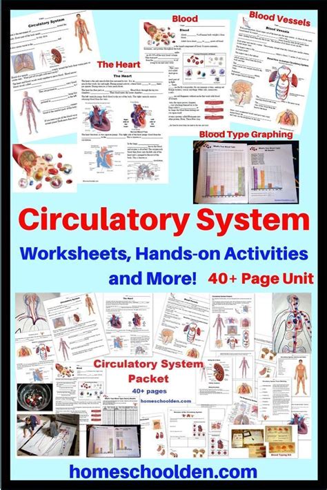 Pin On Homeschool Den Science