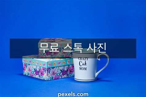 최고의 한국아줌마 아줌마 명기 사진 · 100 무료 다운로드 · Pexels 스톡 사진