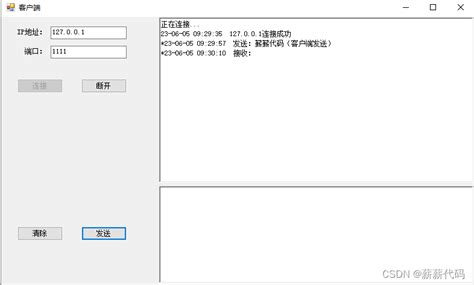 c socket入门编程winform案例（附下载链接） csdn博客