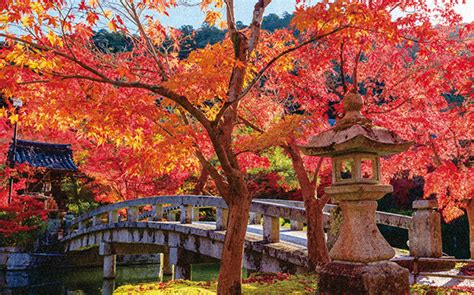 2020 日本の秋 紅葉特集 テンツキ旅行添乗員付きツアーの専門窓口