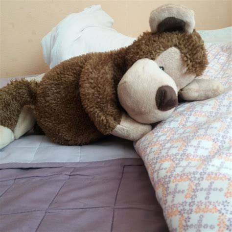 Create Meme Teddy Bears A Teddy Bear Teddy Bear On The Bed Pictures Meme
