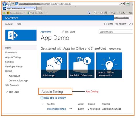 Overview Of Sharepoint Developer Site Template