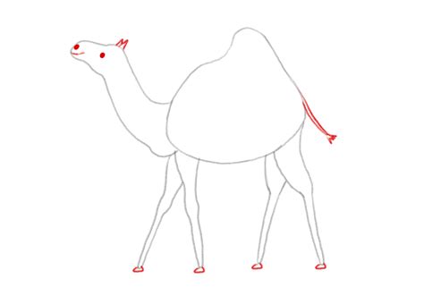 Easy Camel Drawing