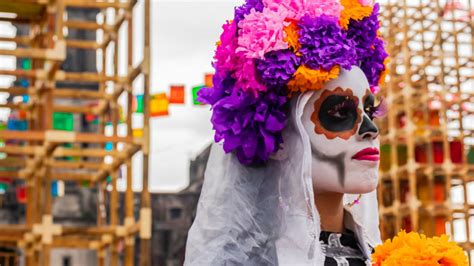 5 flores ideales para la ofrenda de Día de Muertos Panorama