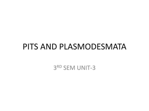 Pits And Plasmodesmata Pptx