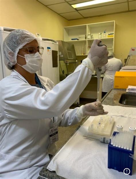 Pesquisa Analisa Cdna Do Hpv Como Biomarcador Para Câncer De Colo De