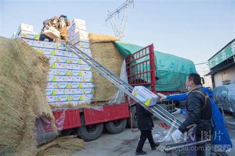 河南郑州战寒潮 保民生 人民图片网