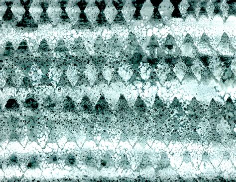 Experiments Julia Hendrickson