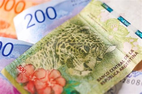 Simulador De Plazo Fijo La Tasa De Interés Y Cuánto Gano En Pesos Si