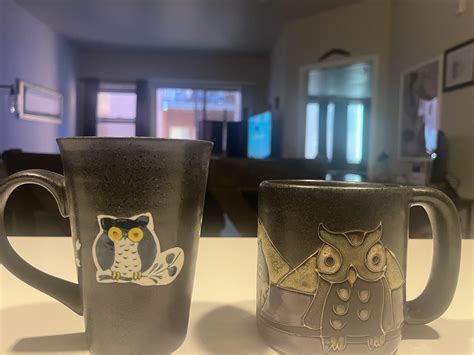 His And Hers 🦉coffee Mugs🦉 Rowls