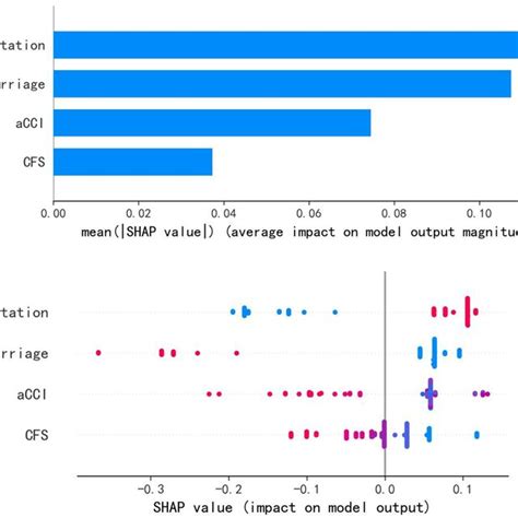a characteristics of the selected model random forests model shap