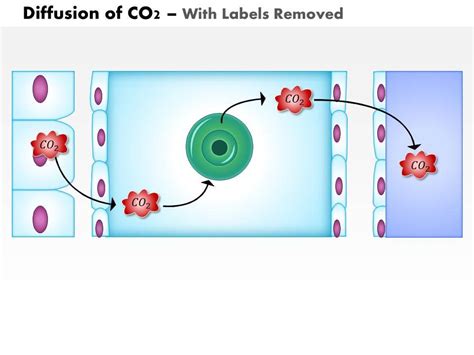 Diffusion Of CO Medical Images For Powerpoint PowerPoint Presentation Pictures PPT