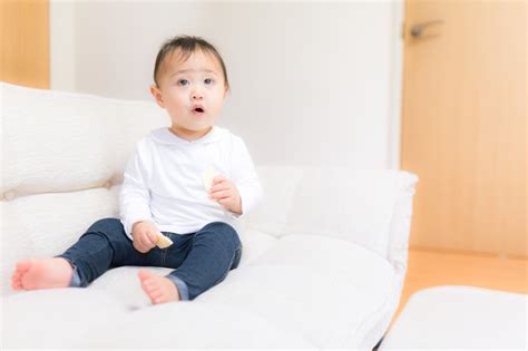「新春」の意味とは？意味や使い方を解説！ 言葉の意味の備忘録