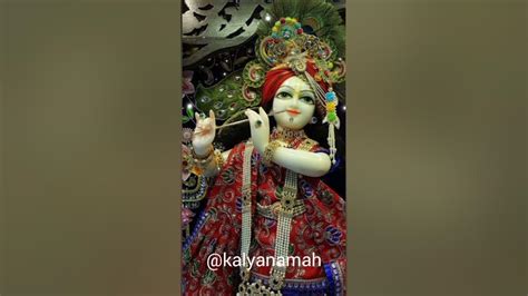 मन मन्दिर में सजे बिहारी मनमोहन तेरी छवि थी प्यारी🙏जय श्री कृष्ण 🙏